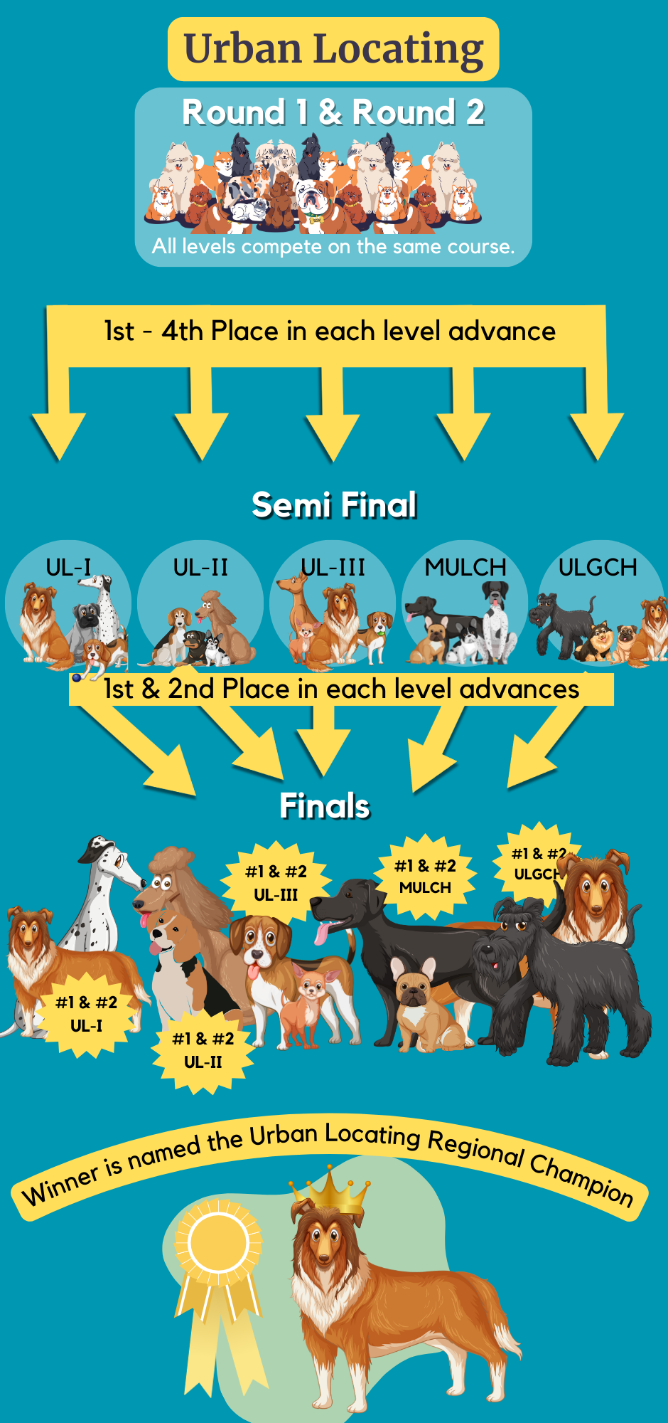 How does the Regional work? – North American Sport Dog Association