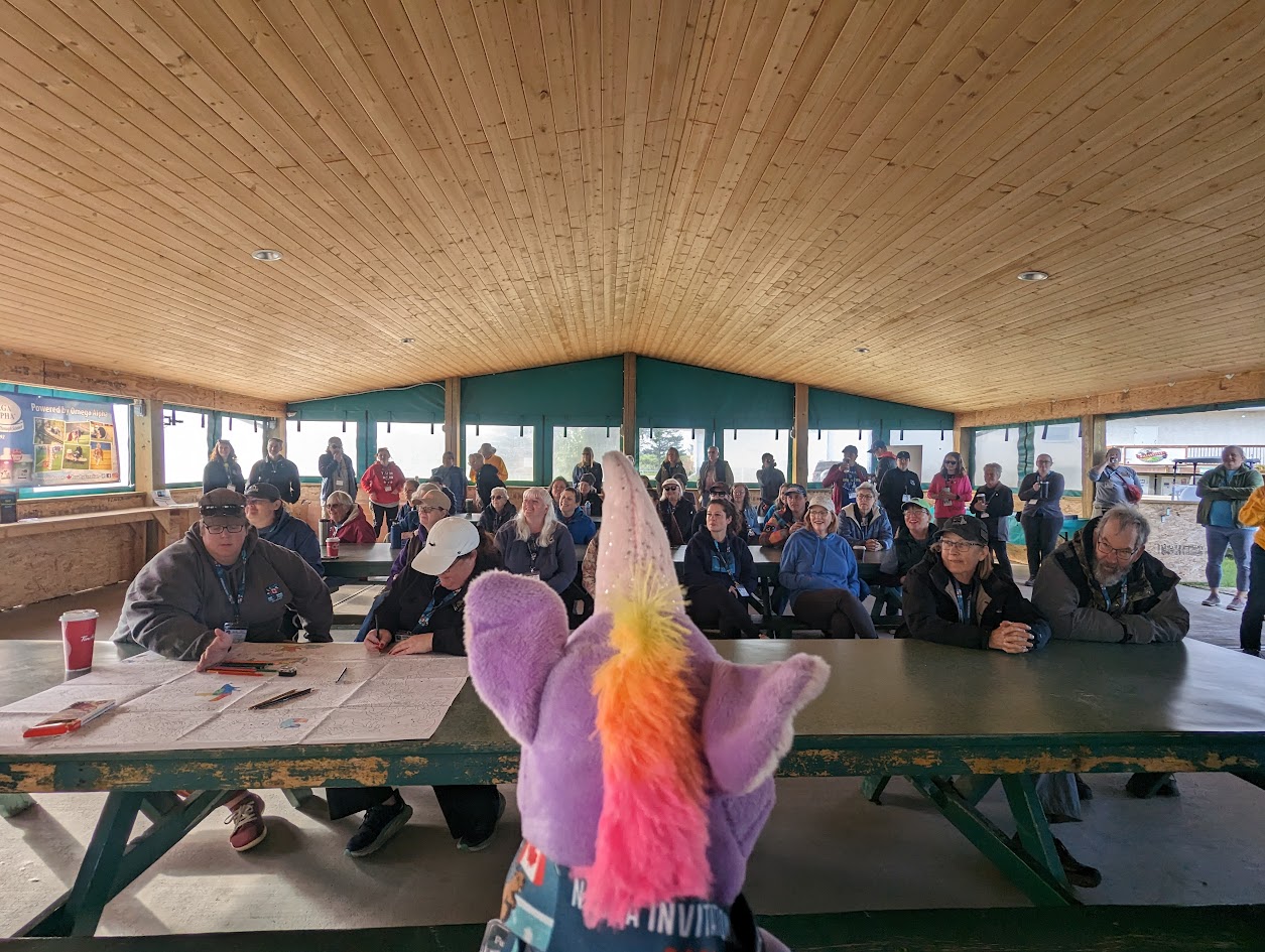 How are runs scored at the Regional? – North American Sport Dog Association